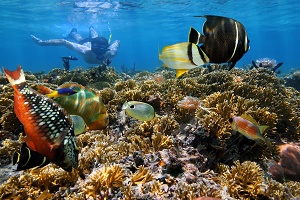 Top 26 Key West Fun Things To Do in Key West Florida in 2026
